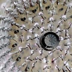 Produk & Layanan | PT Hafila Daya Utama